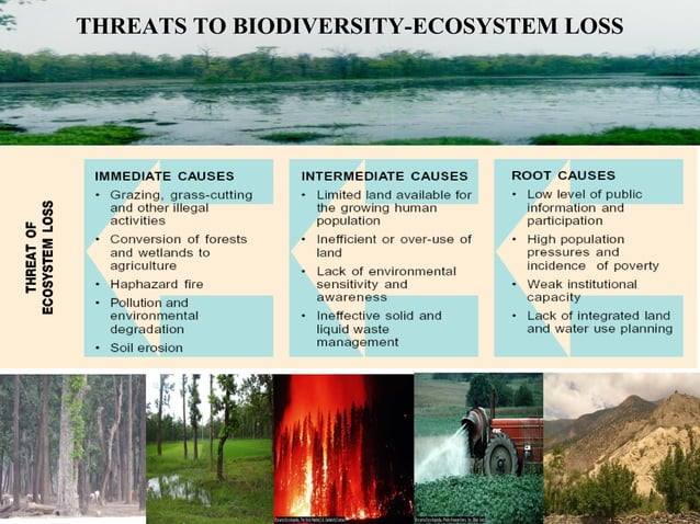 Threats to Biodiversity | PPT