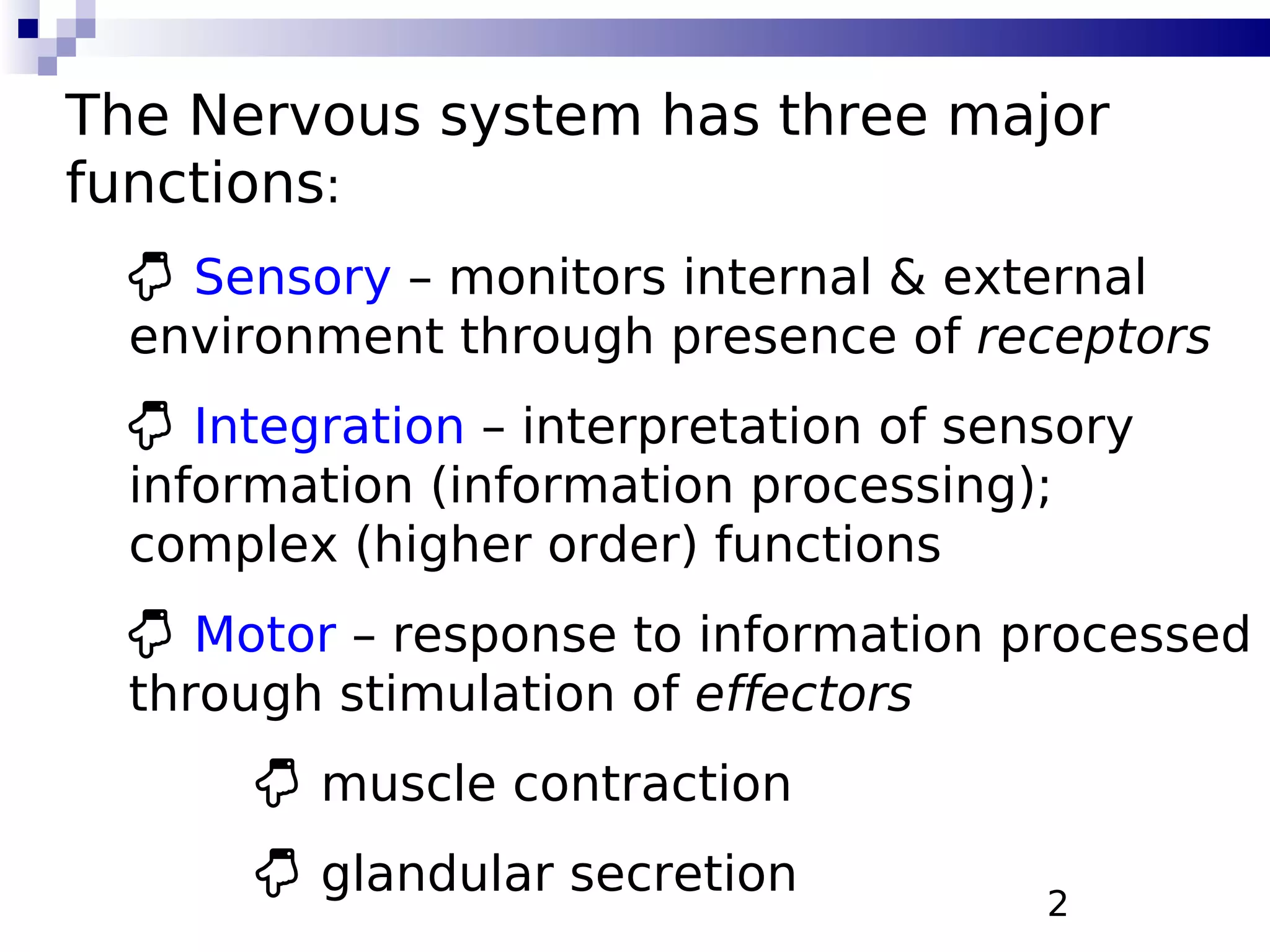 3. nervous system part 1 | PDF