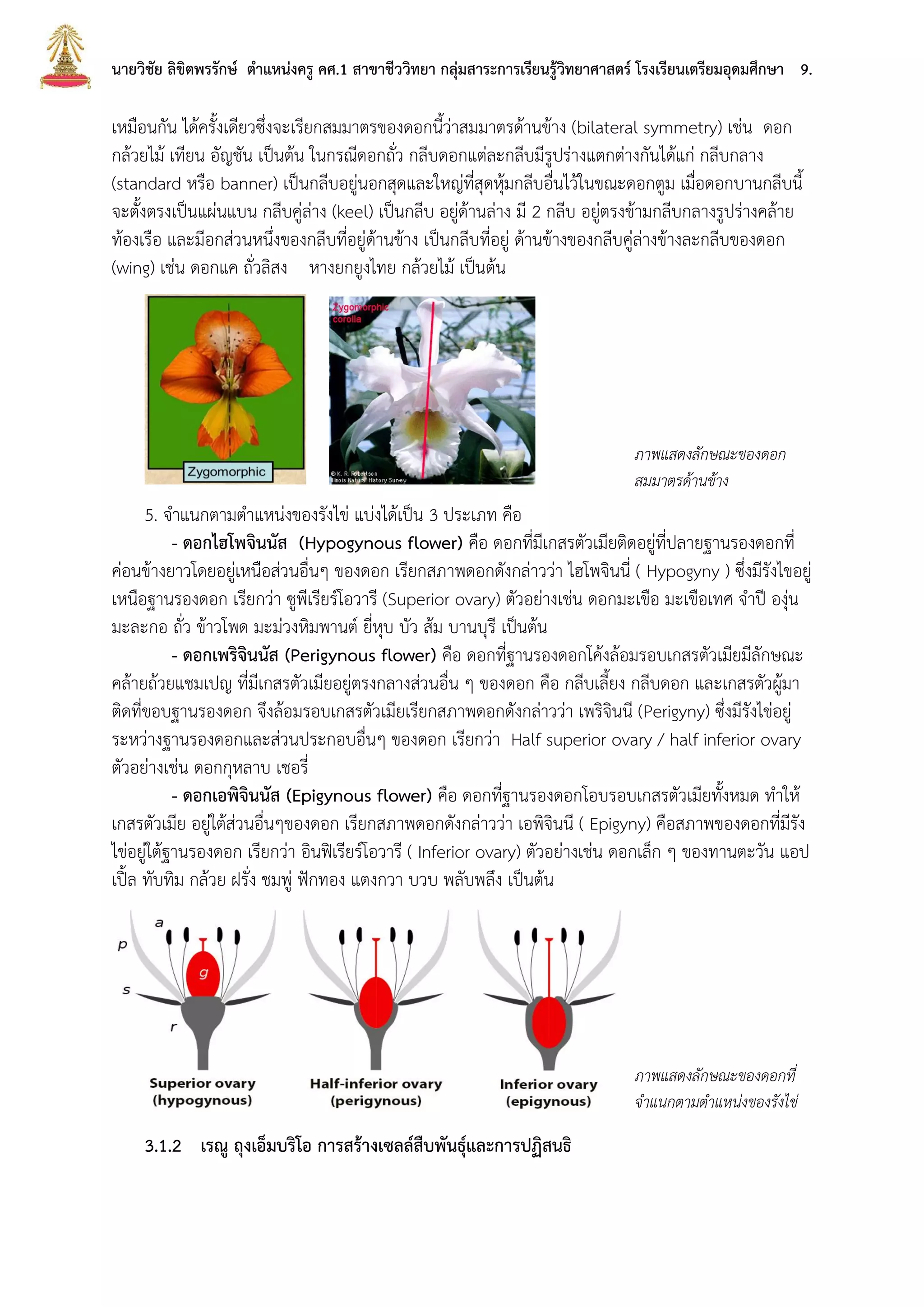 บทที่3การสืบพันธุ์เจริญเติบโตพืชดอก | PDF