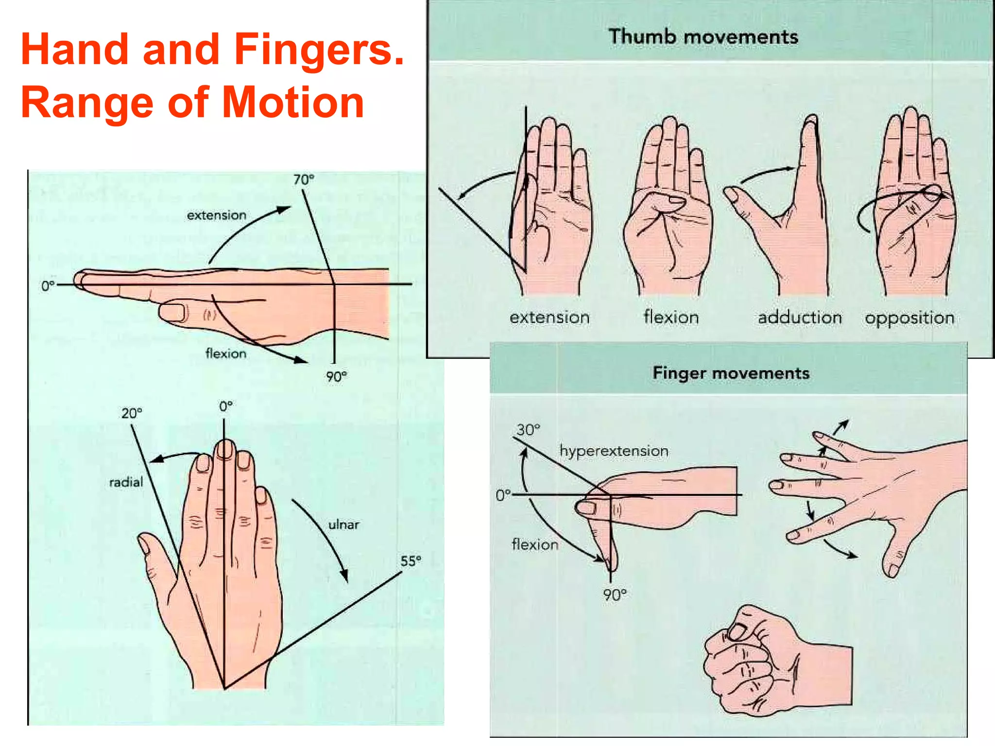 Examination of Orthopedic patients | PPT