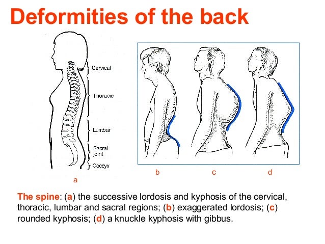 Examination of Orthopedic patients