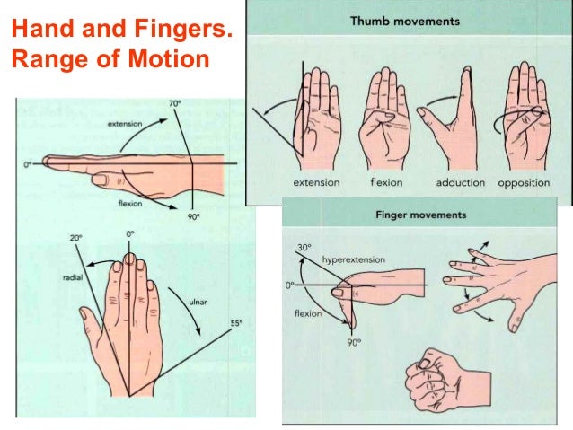 Examination of Orthopedic patients