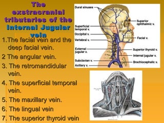 Blood supply of head & neck. Arterial & venous anastomoses | PPT