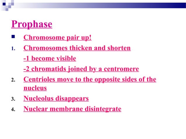 Reproduction at the Cellular level | PPT