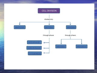 Reproduction at the Cellular level | PPT | Biological Sciences | Science