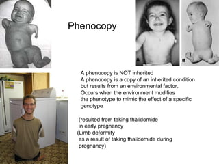 Human variability as property of life & the Genetic phenomena | PPT