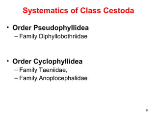 Class Cestoda. Tapeworms | PPT
