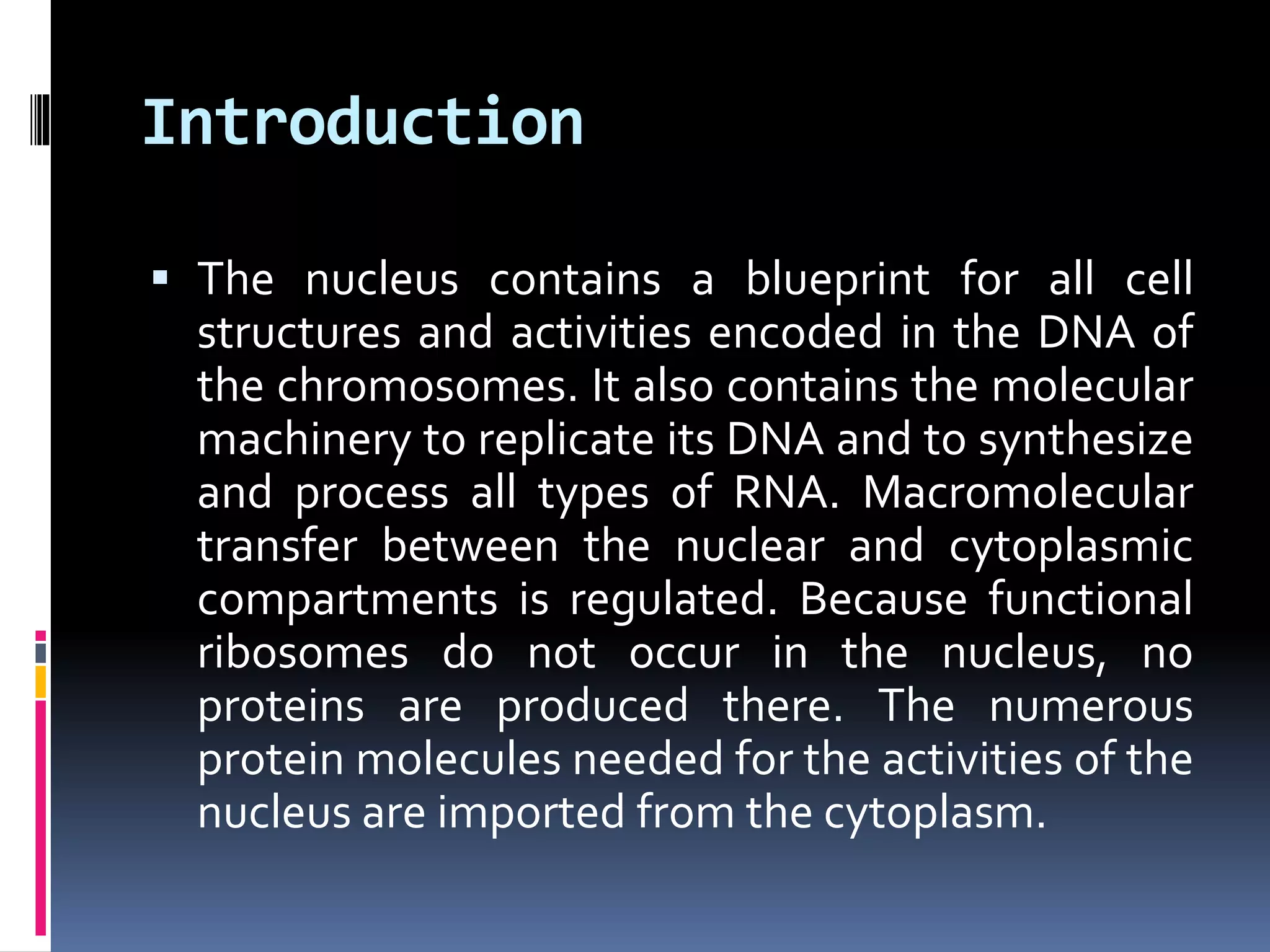The cell Nucleus | PPTX