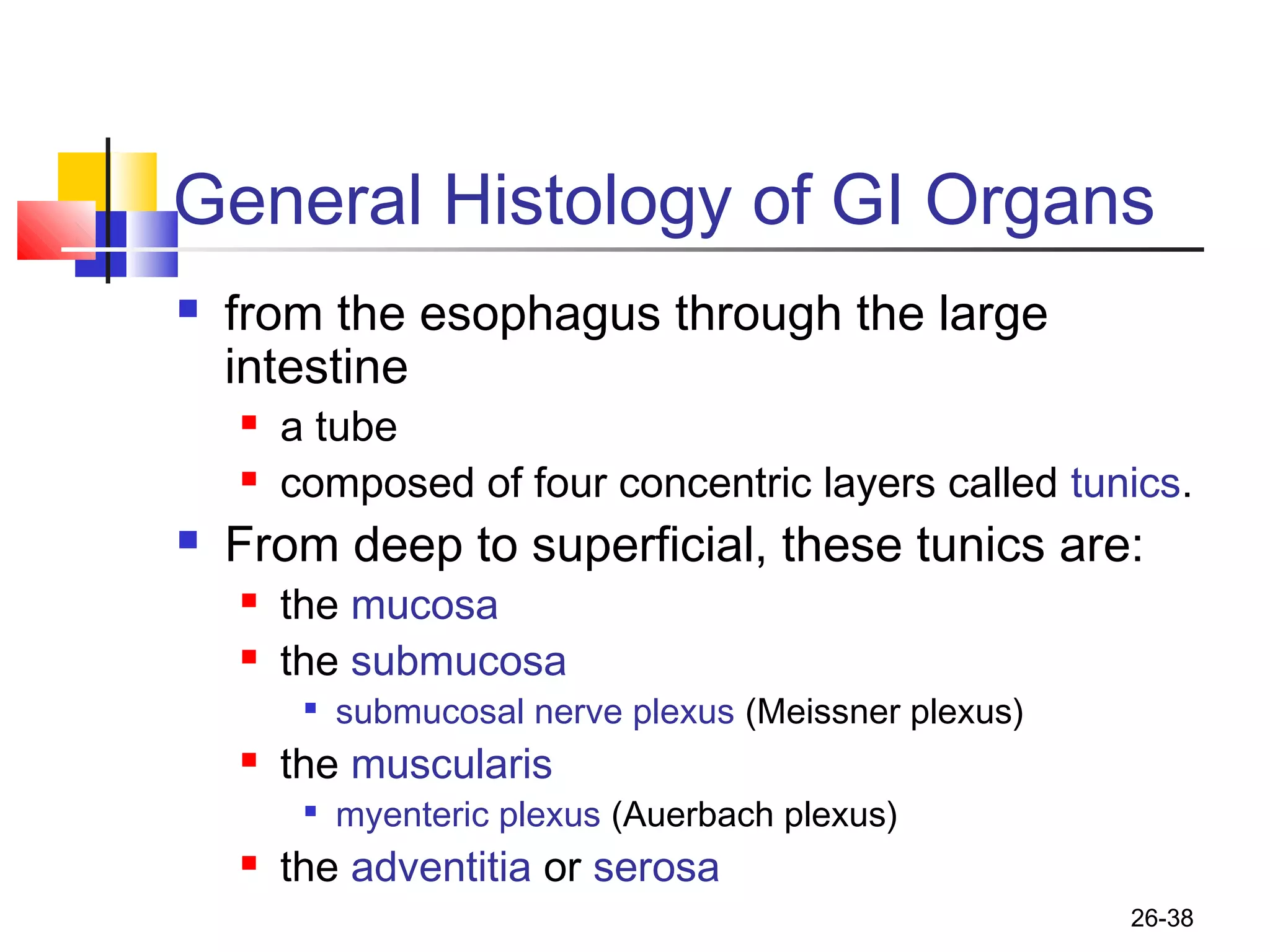 Histology of Digestive system | PPT
