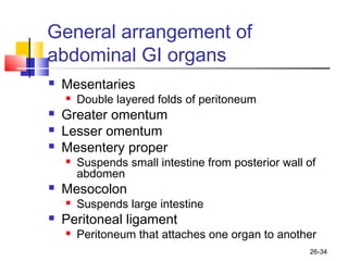 Histology of Digestive system | PPT