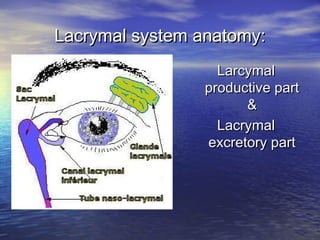 Diseases of Eyelids, Lacrymal system & Orbit | PPT