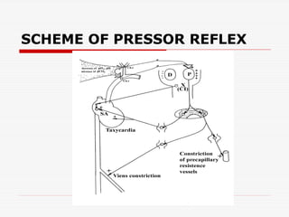 BP Registration & Regulation. Peculiarities of regional blood supply | PPT