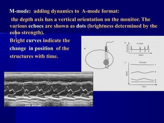 Ultrasound & MRI method of examination | PPT