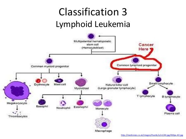 Leukemia