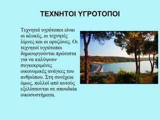 Υγρότοποι-πηγή ζωής | PPT