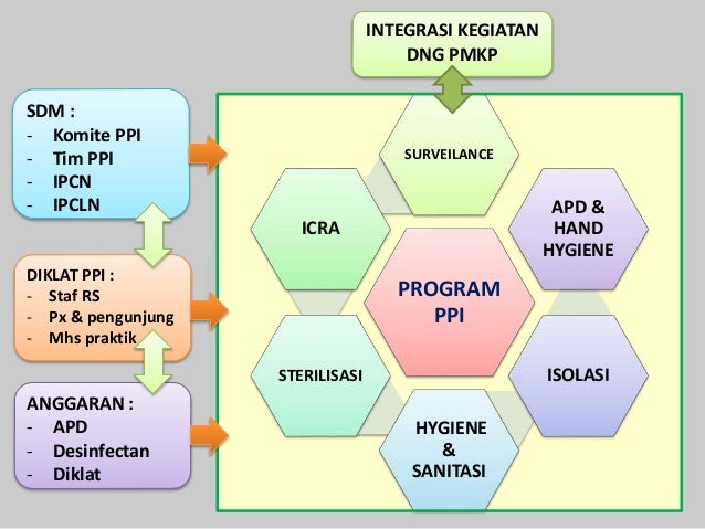 3. . program ppi