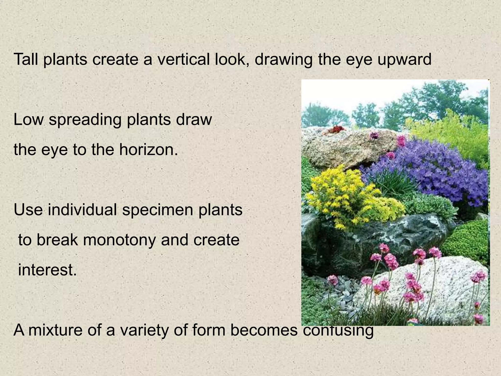 Principles of Landscape Design | PPTX