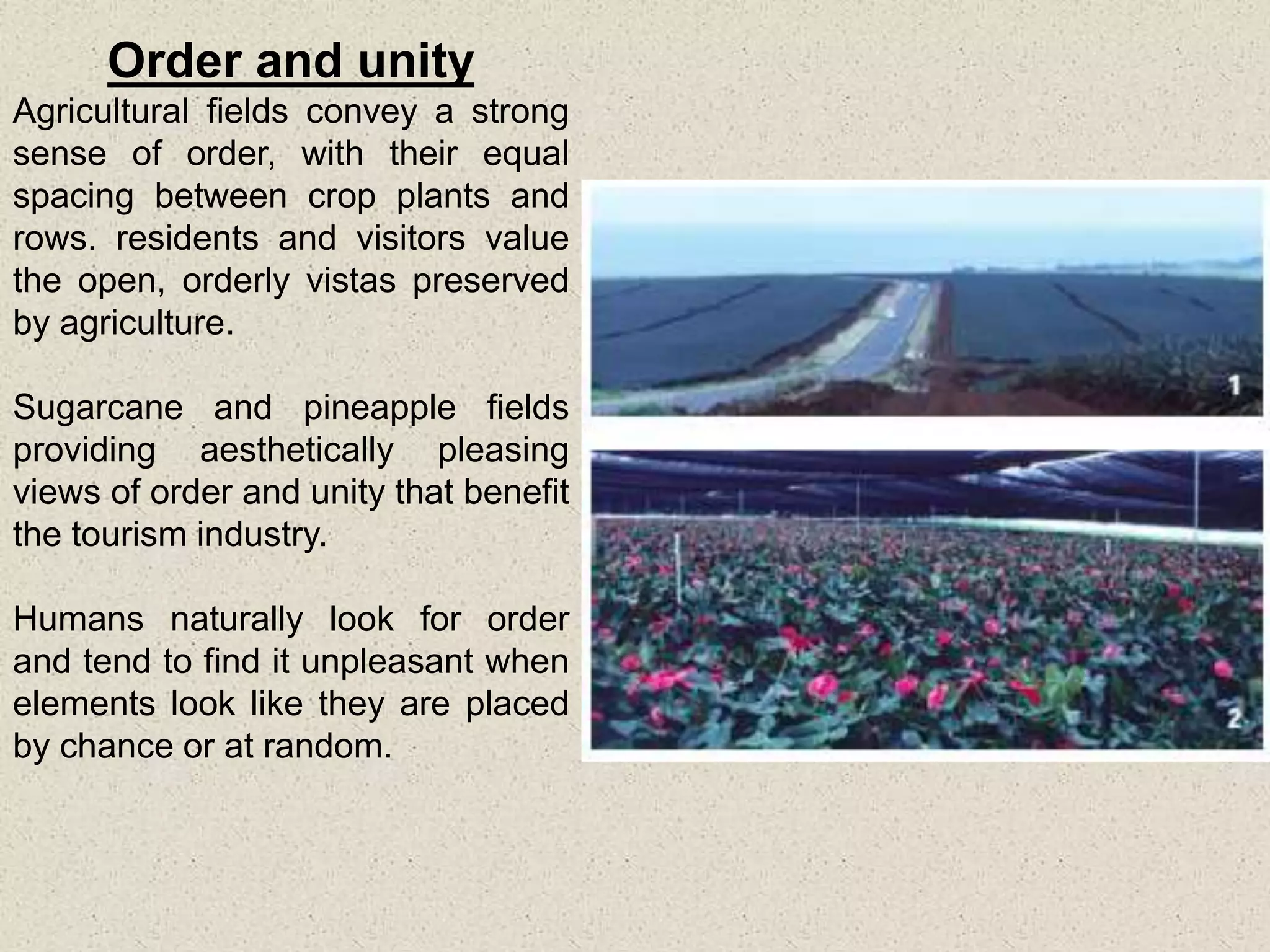 Principles of Landscape Design | PPTX