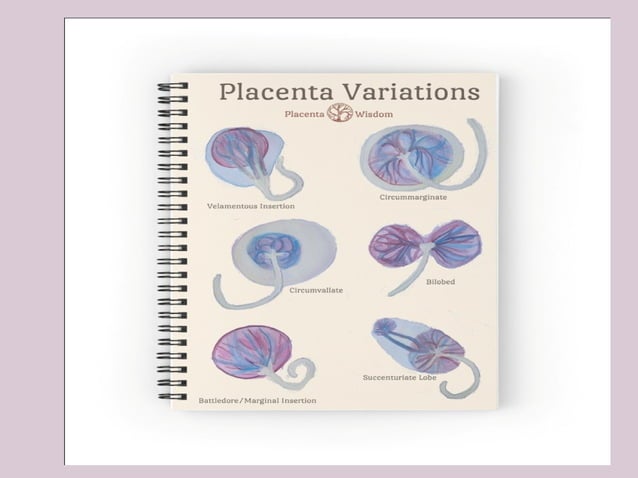 PLACENTA | PPT | Pregnancy | Reproductive Health