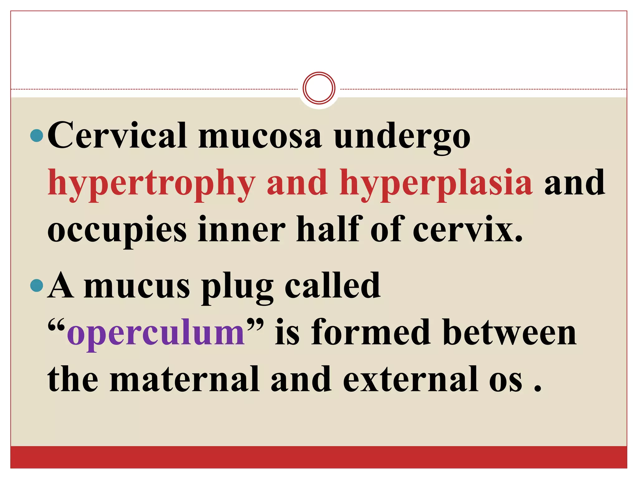 3.physiolosical changes during pregnancy | PPTX