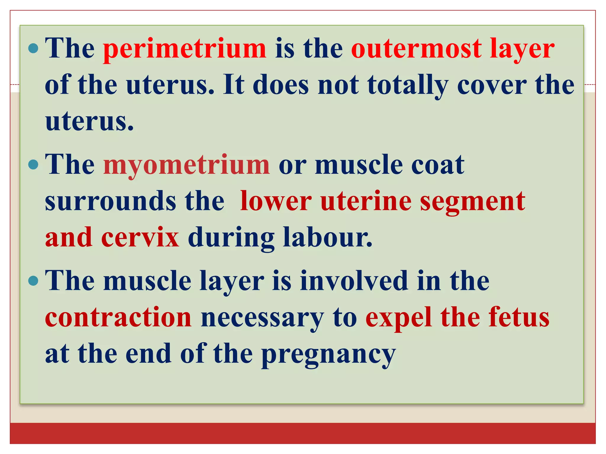 3.physiolosical changes during pregnancy | PPTX