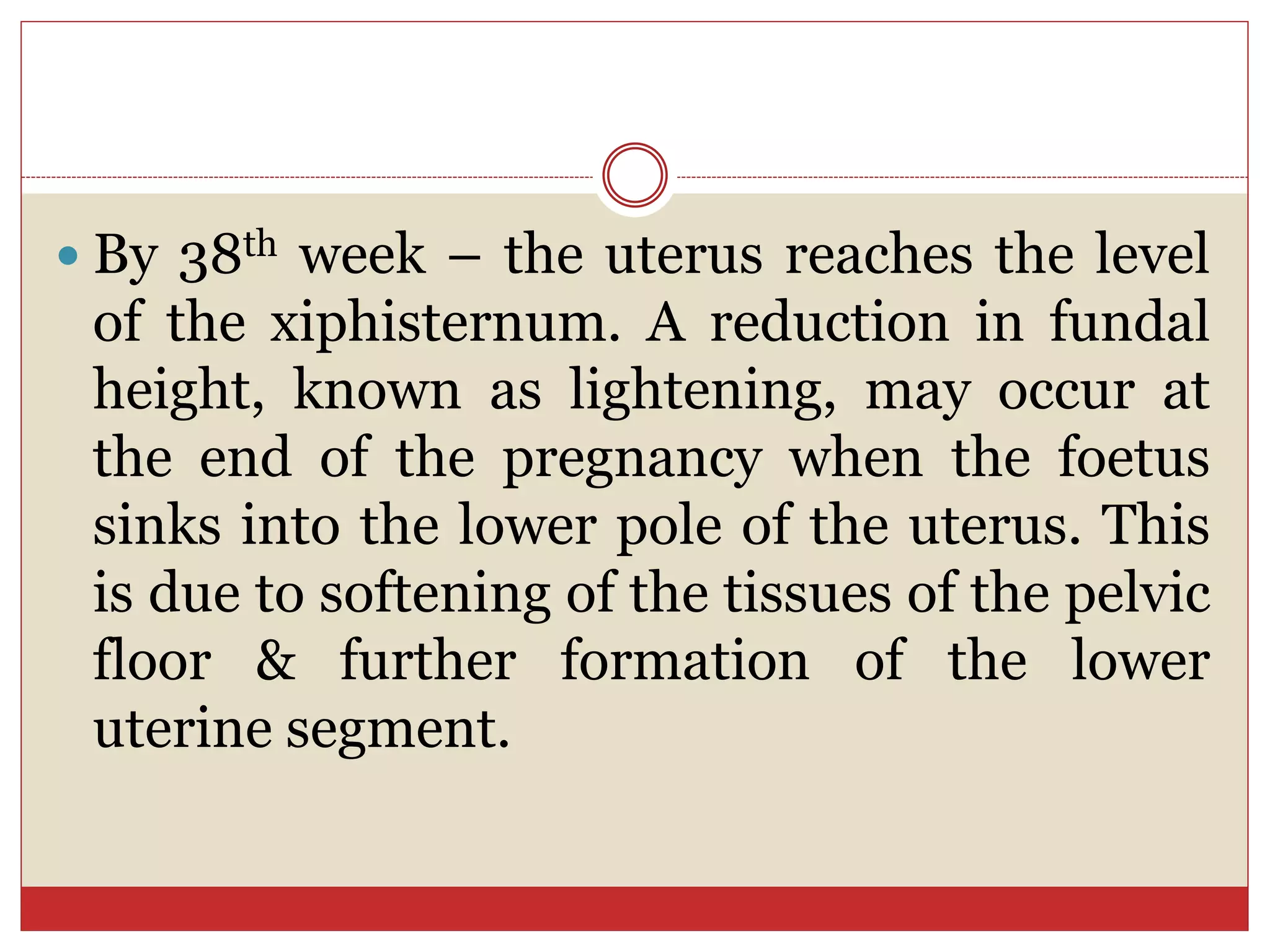 3.physiolosical changes during pregnancy | PPTX