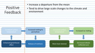 3. ESS Systems and Feedback Notes | PPT