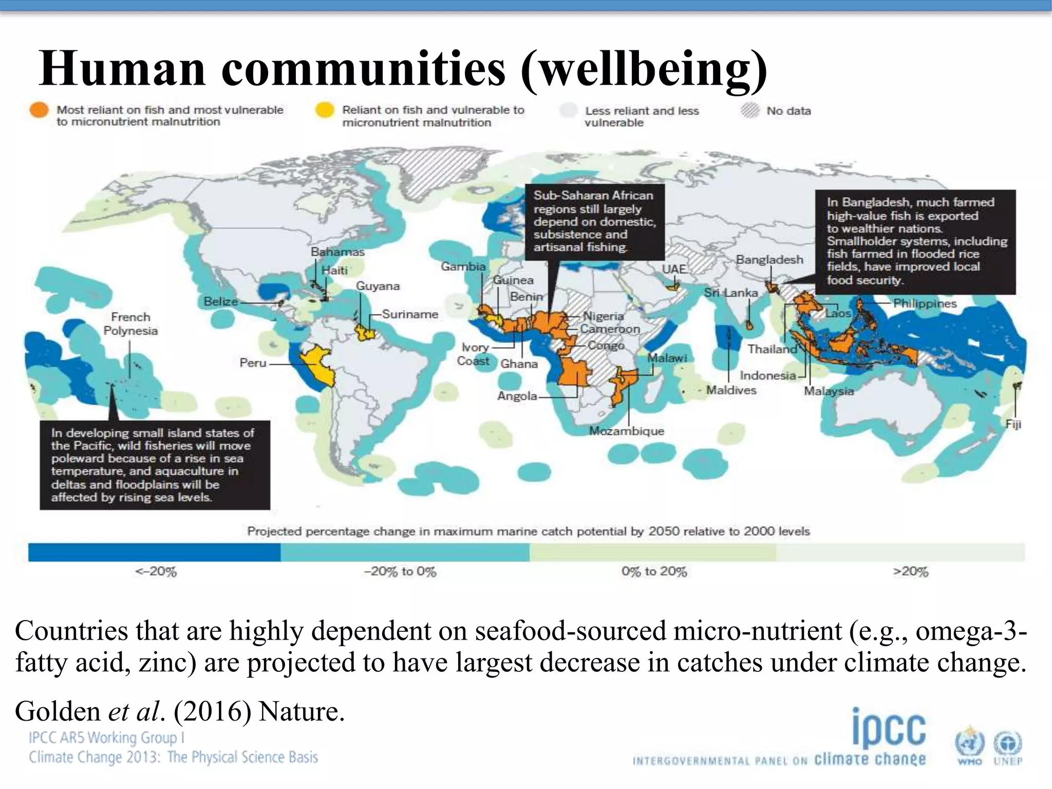 Changing Ocean, Marine Ecosystems, and Dependent Communities | PPTX