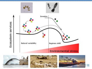 Changing Ocean, Marine Ecosystems, and Dependent Communities | PPTX