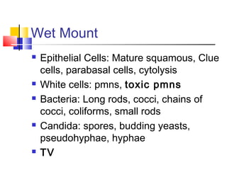 Parabasal Cells Wet Prep
