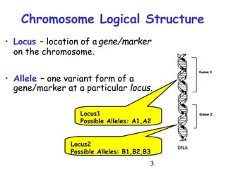 Basic of Genetics | PPTX