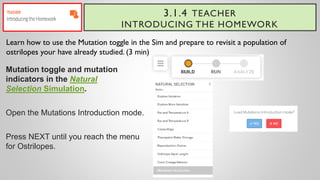 Introduction to Mutations | PDF
