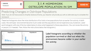Introduction to Mutations | PDF