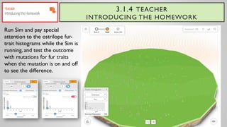 Introduction to Mutations | PDF