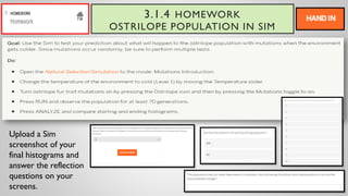 Introduction to Mutations | PDF