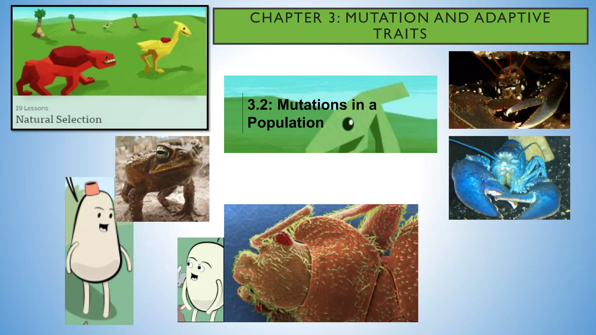 Mutations In a Population | PDF