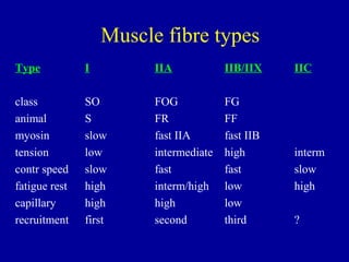 3. The MU Basics | PPT