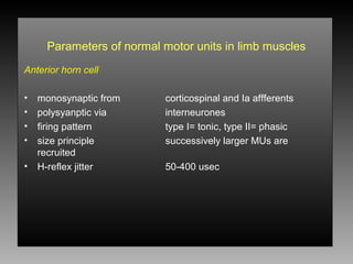 3. The MU Basics | PPT