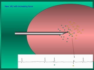 3. The MU Basics | PPT