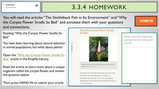 Wrapping Up The Newt Mystery | PDF