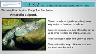 Wrapping Up The Newt Mystery | PDF