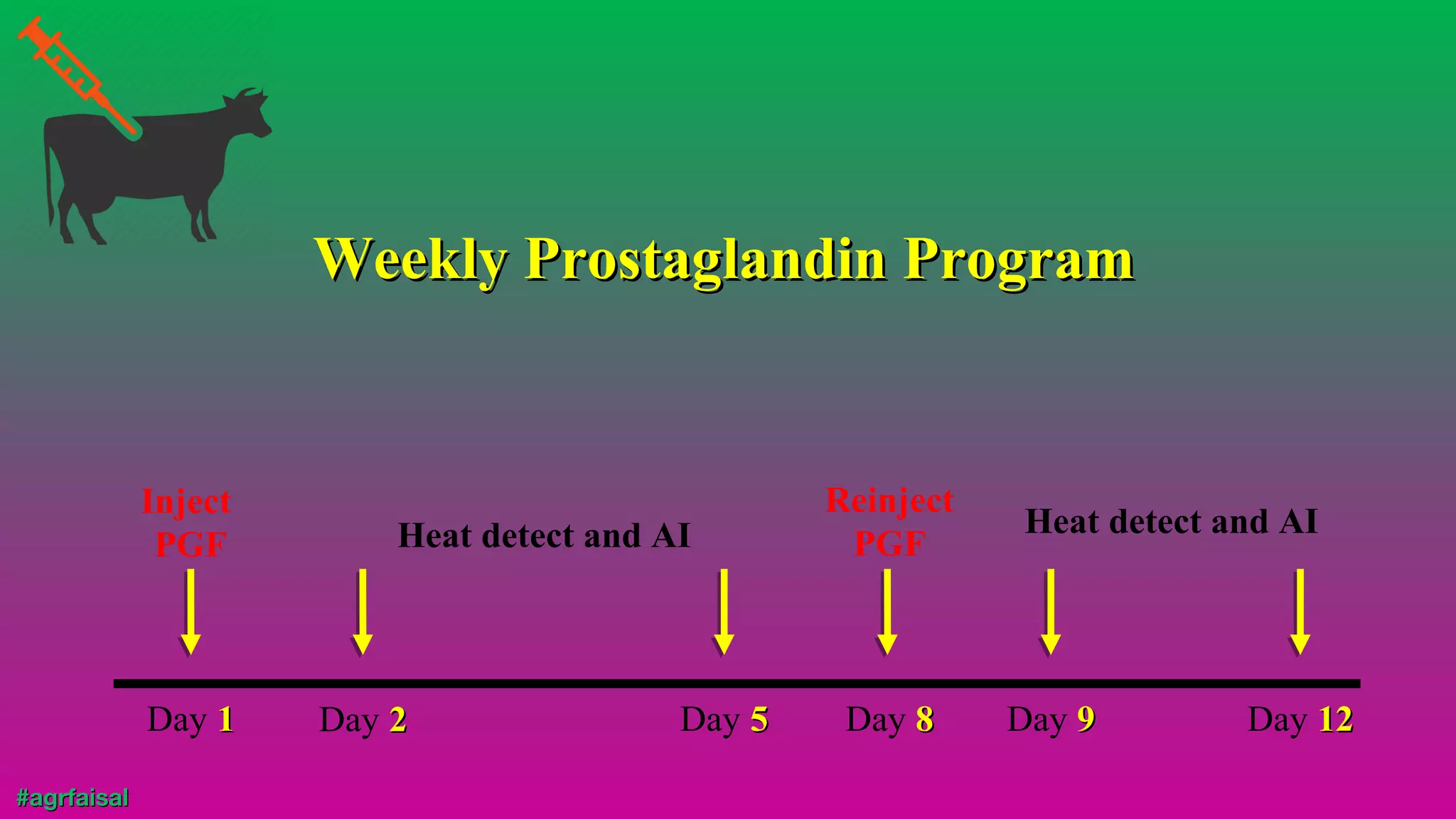 Presentation Protocols For Synchronization Of Estrus Ppt