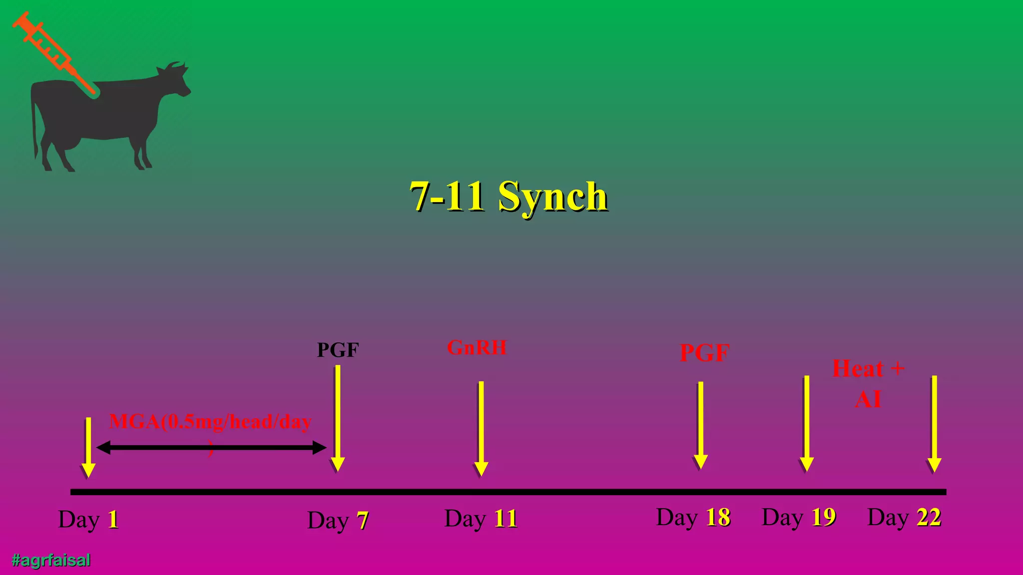 Presentation Protocols For Synchronization Of Estrus Ppt