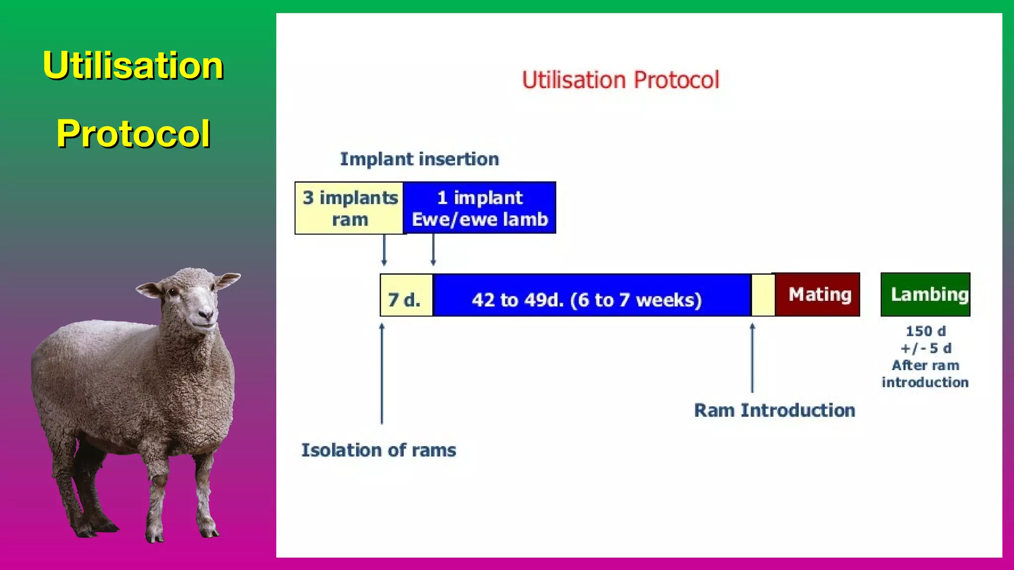 Presentation Protocols For Synchronization Of Estrus Ppt