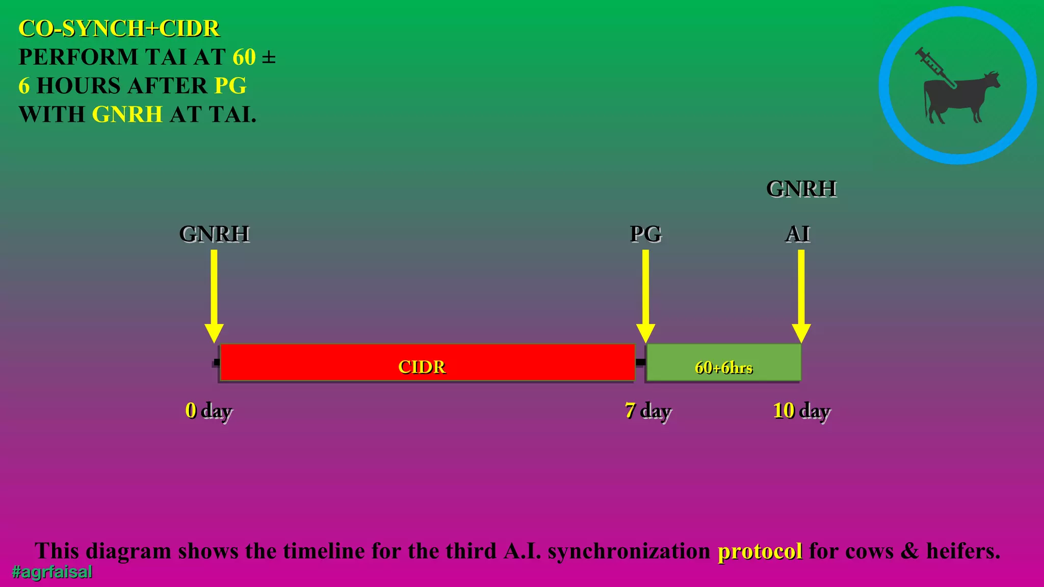 Presentation: Protocols for Synchronization of Estrus | PPT
