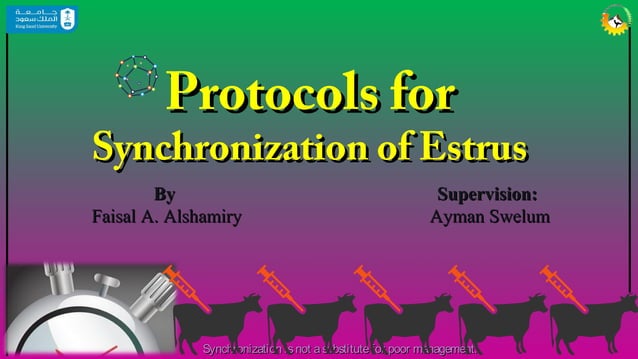Presentation Protocols For Synchronization Of Estrus Ppt Reproductive Health Diseases And