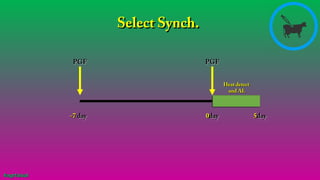 Presentation: Protocols for Synchronization of Estrus | PPT