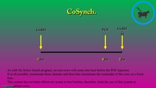 Presentation: Protocols for Synchronization of Estrus | PPT