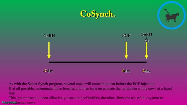 Presentation Protocols For Synchronization Of Estrus Ppt Reproductive Health Diseases And