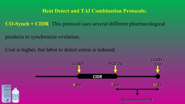 Presentation Protocols For Synchronization Of Estrus Ppt Reproductive Health Diseases And
